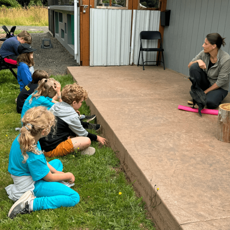 Field Trips • Wildlife Center Of The North Coast